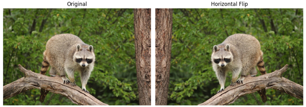 How to Use Albumentations for Computer Vision: Step By Step