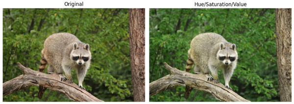 How to Use Albumentations for Computer Vision: Step By Step