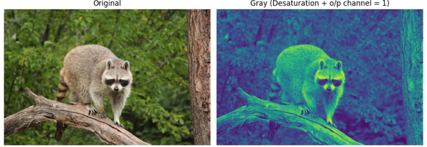 How to Use Albumentations for Computer Vision: Step By Step